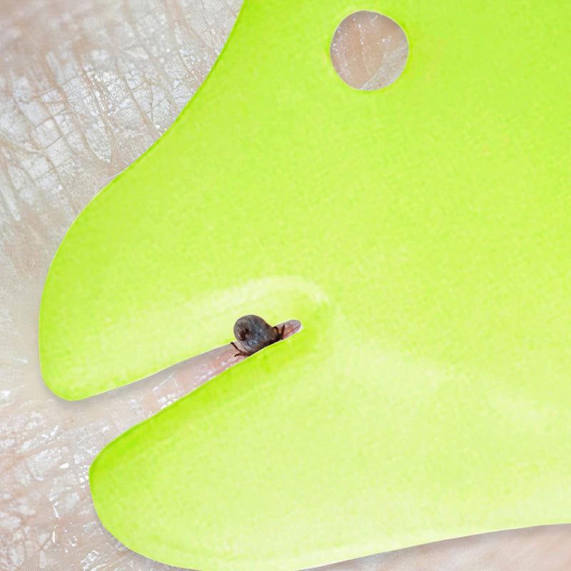 MYDAISY Tick Map with Magnifying Glass - Perfect for Removing Ticks ...