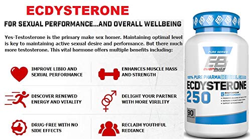 Beta Ecdysterone 250 Mg 90 Capsules Everbuild Nutrition Beesactive
